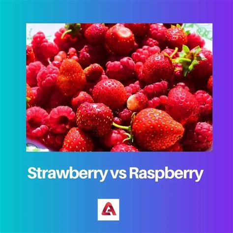 Difference Between Strawberry And Raspberry Fresas Frambuesa Raspberry