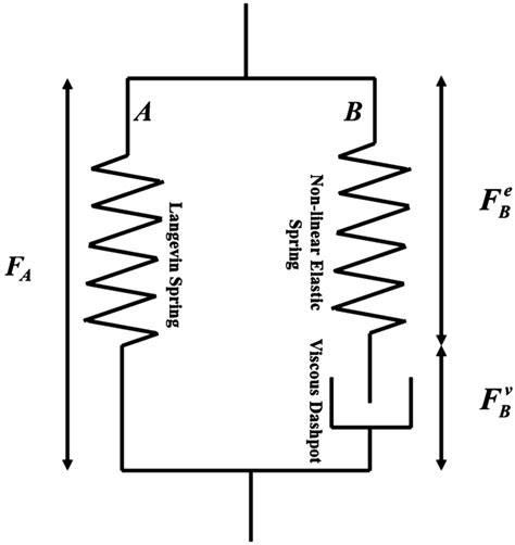 Rheological Representation Of The Model Network A Consists Of A