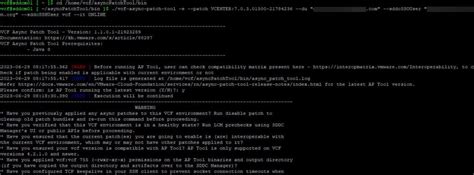 Dmwarenl Vcf Using The Async Patch Tool