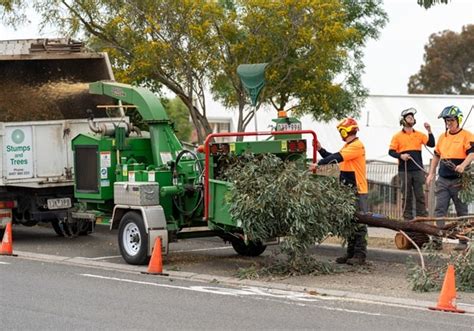 Stumps And Trees Melbourne S Tree And Stump Removal Company