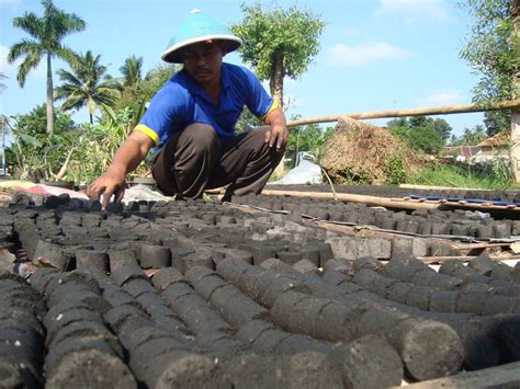 Briket Batubara Untuk Memasak Dan Untuk Memanaskan Ruangan