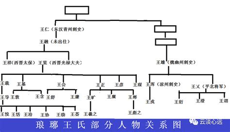 王导如何应对千年之大变局 NO 1 琳琅满目 王衍 王敦 太尉