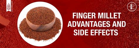 Discover Finger Millet Benefits Uses And Potential Side Effects