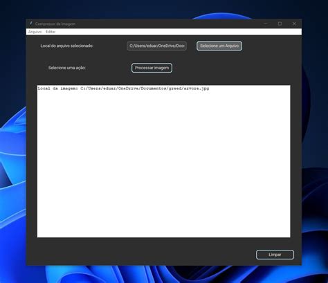 github projeto de algoritmos final imagecompressor