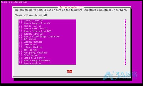 Ubuntu20 04 Server版安装图形界面并使用vnc实现远程桌面 3a网络资讯门户