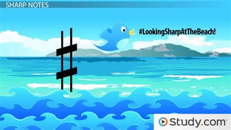 Sharps And Flats Reading And Identifying Sharp And Flat Notes In Music Lesson