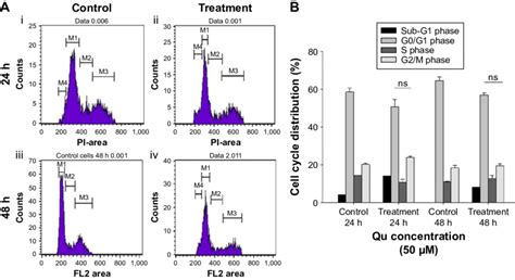 Cell Cycle Arrest Induced By Qu Notes A Qu Treated Cells Were