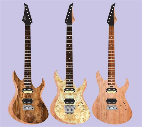 Eletric Guitars Dccguitarras
