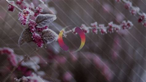 Pure Css Loader