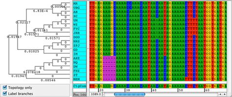 Mutations In Dna Sequence