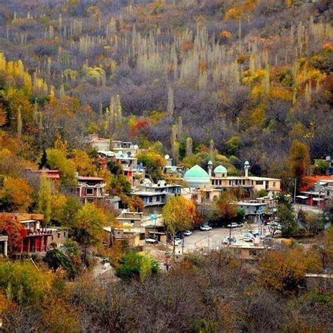 وینه ی جوان