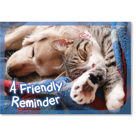 Veterinary Reminder Postcards Wake Up Sole Source
