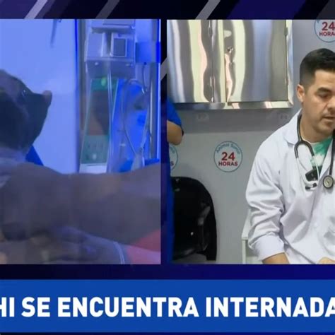 Yuri Arrasa En Instagram Con Sus últimas 5 Publicaciones En Redes Infobae