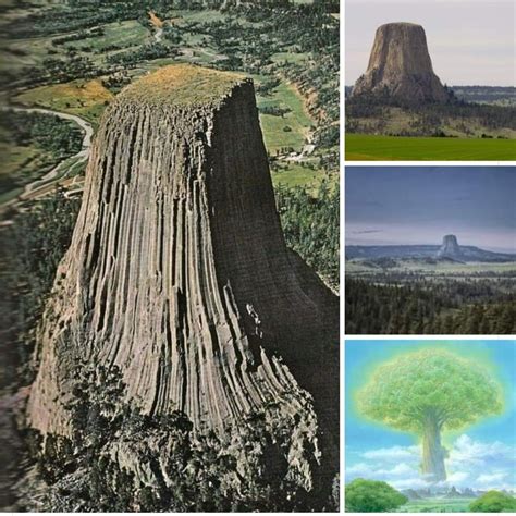 Дерево дьявола (Много фото) - treepics.ru