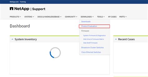 Implementar Netapp Ontap 95p6 Simulator En Vmware Vsphere Witcherit