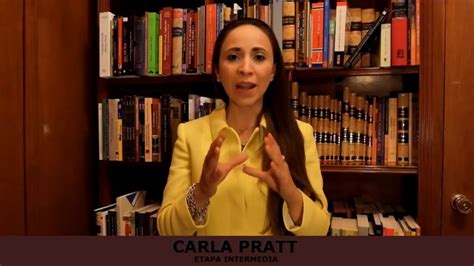 ¿qué Es La Etapa Intermedia En El Proceso Penal Acusatorio Youtube