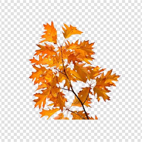 Page 3 Tree Leaves Psd 2000 High Quality Free Psd Templates For