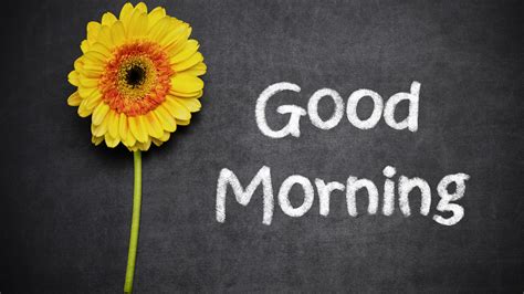 Good Morning Wishes Quotes Messages शायराना अंदाज में करें सुबह की
