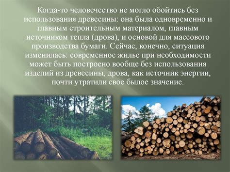 Значимость леса для специальности «Технология комплексной переработки
