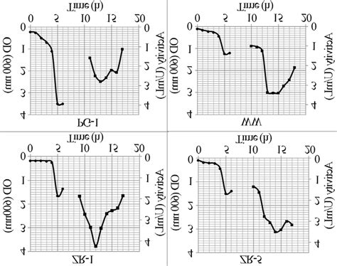 Lipase Production And Growth Phase Relation In All Strains Maximum