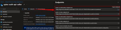 Auth Series 6 Secure Open Api Swagger Calls With Microsoft Entra