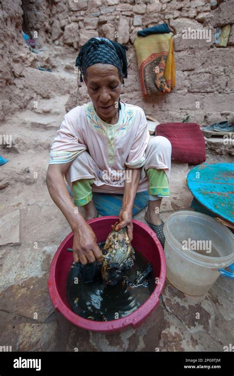 Donna Berbera Hi Res Stock Photography And Images Alamy