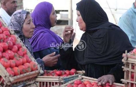 شعبة الخضراوات فاصل العروات وراء ارتفاع أسعار الطماطم بالأس مصراوى