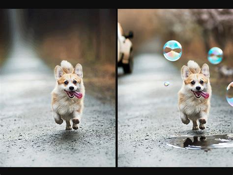Photoshop Unveils ‘extraordinary Generative Ai That Transforms