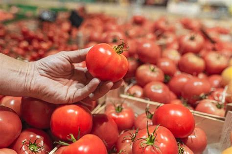 Why Are Tomatoes So Expensive 10 Reasons