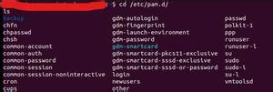What Is Linux Pam Module And How To Configure It Geeksforgeeks