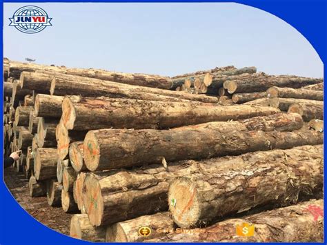 Pine Log Prices Nz Radiata Pine Lumber Pine Wood Properties Log Prices