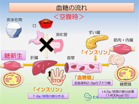 2型糖尿病｜たわらもと内科・糖尿病内科 宝塚市