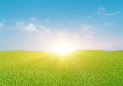 Green Sun Wallpaper