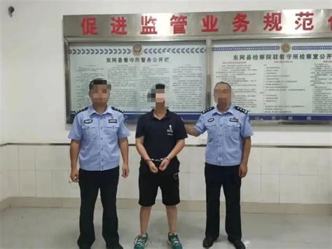 货代低价揽货骗取运费案告破涉案金额 多万元涉案货代刑事拘留