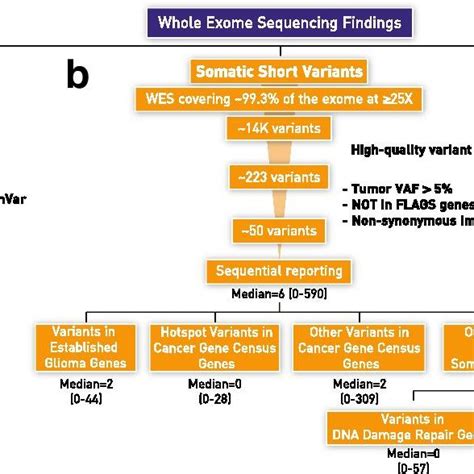 variant analysis and reporting workflow for a germline variants b