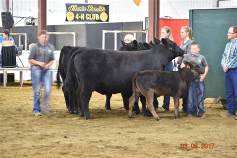 Lazy H Farm Lazy H Farm Added A New Photo