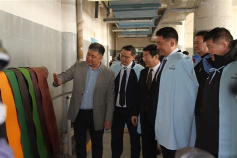 Монгол Улсын Ерөнхийлөгч У Хүрэлсүх арьс ширний салбарт ажиллалаа Монголын арьс ширний