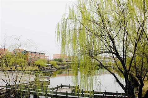 学习强国学习平台