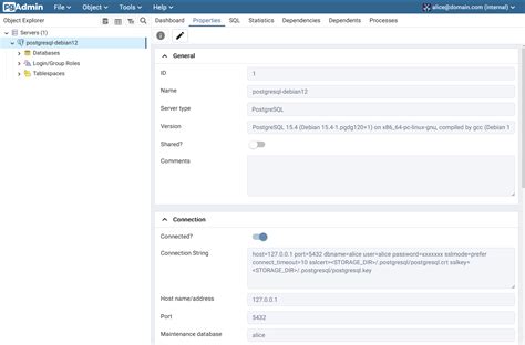 How To Install PostgreSQL And PgAdmin Tool On Debian