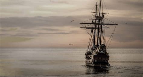 Pirate Metrics Explore What The Aarrr Metric Means