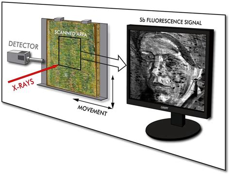 Scheme Illustrating The Xrf Elemental Mapping Experiment Carried Out At