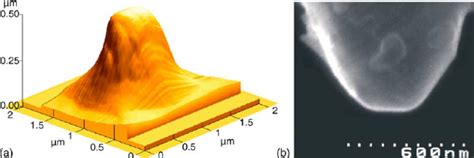A Afm Image Of The Afm Indenter Tip Of Radius 176 Nm Scanned Over A