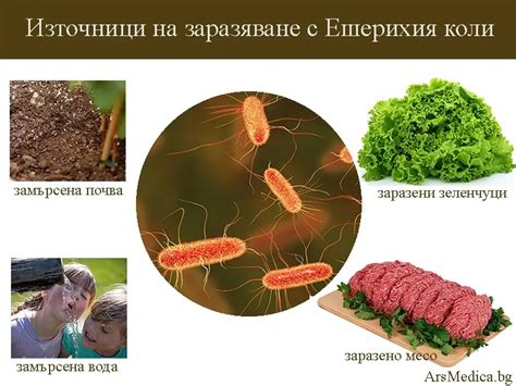 НСПВС представители и показания Arsmedica Bg