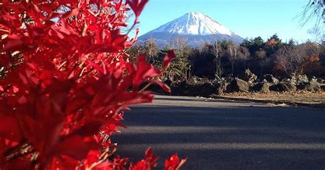 Mt Fuji In The Fall Imgur
