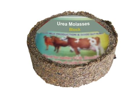 2 Kg Urea Molasses Block Packaging Size 25 Kg At In Churu Id