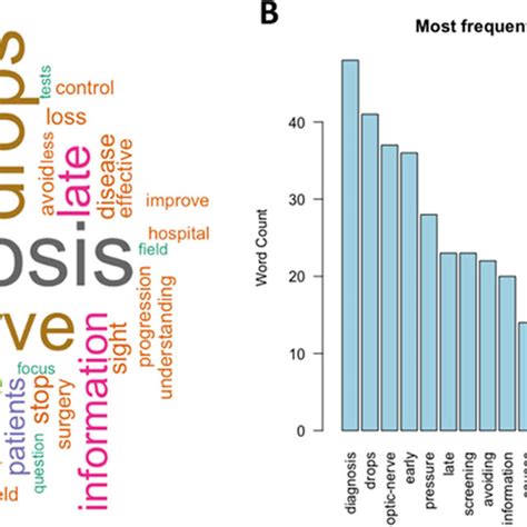Word Cloud A And Bar Chart B Showing Most Frequent Words Used By
