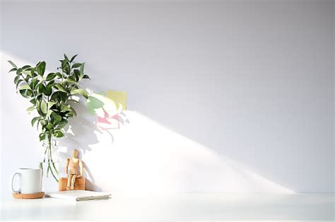 모작 작업 공간 책상 및 복사 공간 책 흰색 책상에 식물과 커피 0명에 대한 스톡 사진 및 기타 이미지 0명 고풍스런 꽃 식물 Istock