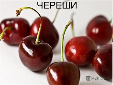 Презентация на тему Всички плодове и зеленчуци си имат цвят Едни са
