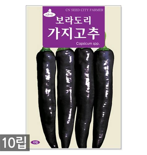 보라색 가지고추 10립 고추씨 고추씨앗 씨앗 씨 가지 고추 보라색고추 주말농장 텃밭 티몬