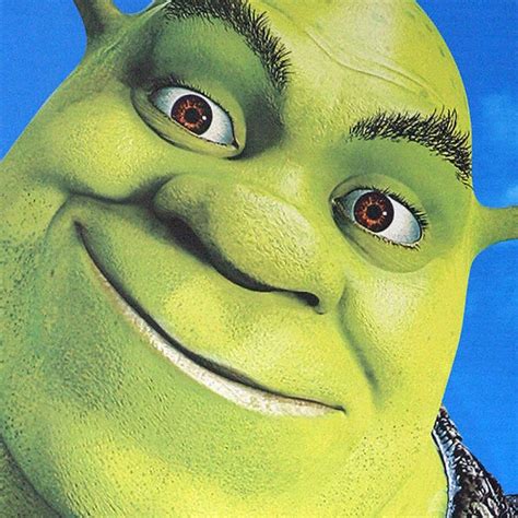 Shrek Reaction Face